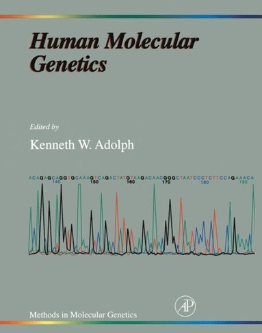 Human Molecular Genetics - Ebok - Kenneth W Adolph (9780080536415) | Bokus