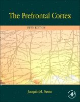 Prefrontal Cortex - Joaquin Fuster - Bok (9780124078154) | Bokus
