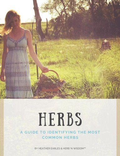 Guide To Identifying The Most Common Herbs - Ebok - Heather Earles ...