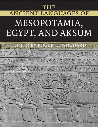Ancient Languages of Mesopotamia, Egypt and Aksum - Roger D Woodard, Roger D Woodard - Häftad ...