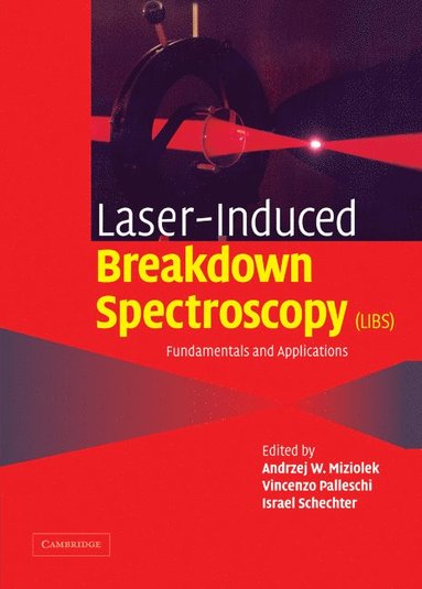 Laser-Induced Breakdown Spectroscopy (LIBS) - Andrzej W Miziolek, Vincenzo Palleschi, Israel ...
