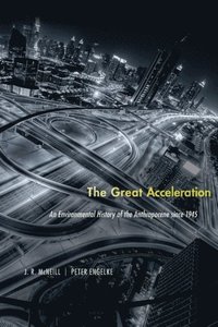 Great Acceleration - Ebok - Mcneill J R Mcneill, Engelke Peter Engelke ...