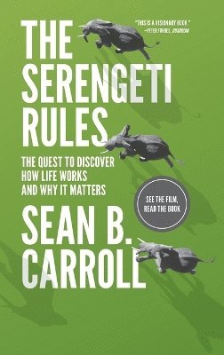 Serengeti Rules - Sean B Carroll - Bok (9780691167428) | Bokus