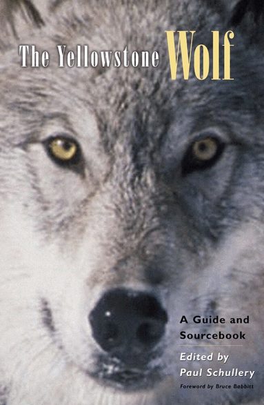 Yellowstone Wolf - Paul Schullery - Häftad (9780806134925) | Bokus