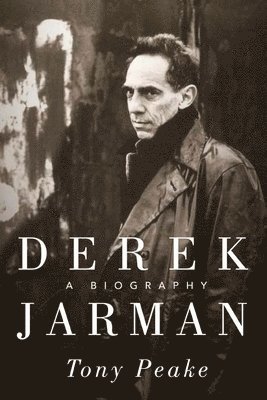 Derek Jarman - Tony Peake - Häftad (9780816674329) | Bokus