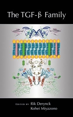 The TGF-Beta Family - Rik Derynck, Kohei Miyazono - Bok (9780879697525 ...