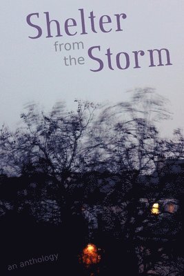 Shelter from the Storm - Danielle Birch, Claire Fitzpatrick, Stuart ...