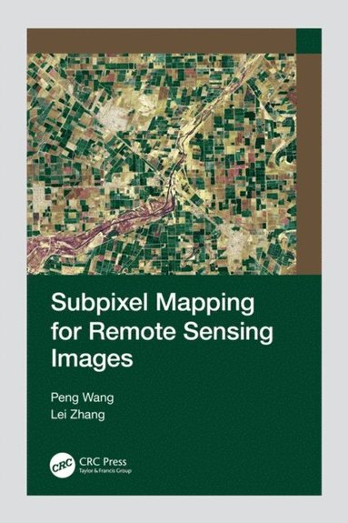Subpixel Mapping for Remote Sensing Images - Ebok - Peng Wang, Lei Zhang (9781000820744) | Bokus