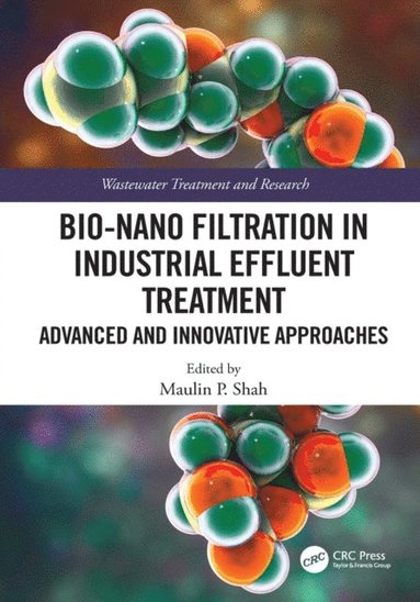 Bio-Nano Filtration in Industrial Effluent Treatment - Ebok - Maulin P ...