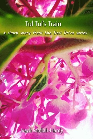 Tul Tul's Train: a Short Story From the Desi Drive Series - Ebok ...