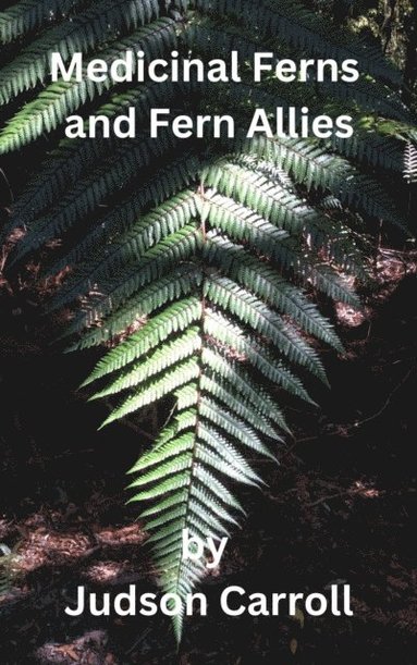 Medicinal Ferns and Fern Allies, an Herbalist's Guide - Ebok - Judson ...