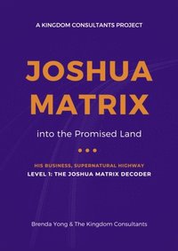 Joshua Matrix: Into The Promised Land (Level 1: The Joshua Matrix ...