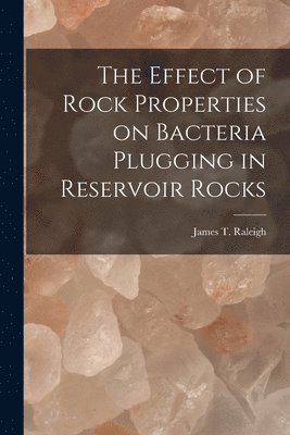 The Effect of Rock Properties on Bacteria Plugging in Reservoir Rocks ...