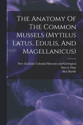 Anatomy Of The Common Mussels (mytilus Latus, Edulis, And Magellanicus ...