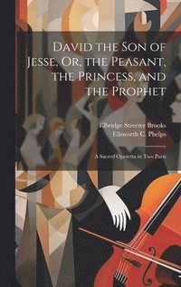 David the Son of Jesse, Or, the Peasant, the Princess, and the Prophet ...