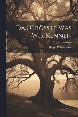 Das Grösste was wir Kennen - Ralph Waldo Trine - Häftad (9781021234957) | Bokus