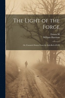 Light of the Forge - William Harrison, Emma M - Häftad (9781022774889 ...