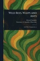 Wild Bees, Wasps and Ants - Edward Saunders, Constance A Saunders ...