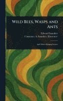 Wild Bees, Wasps and Ants - Edward Saunders, Constance A Saunders ...