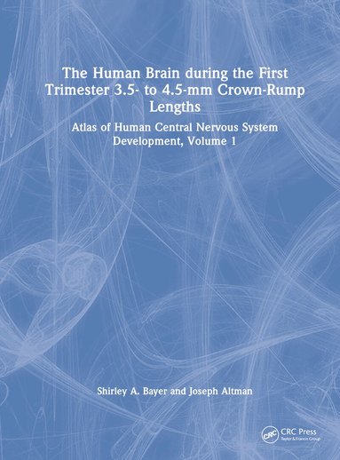 Human Brain during the First Trimester 3.5- to 4.5-mm Crown-Rump ...