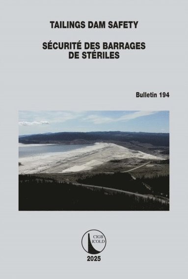 Tailings Dam Safety / Securite des Barrages de Steriles - Ebok - Icold ...