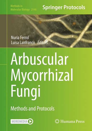 Arbuscular Mycorrhizal Fungi - Nuria Ferrol, Luisa Lanfranco - Bok (9781071606025) | Bokus