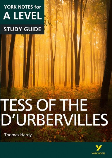 Tess of the D'Urbervilles: York Notes A-level English Literature Study ...