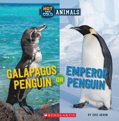 Galapagos Penguin or Emperor Penguin (Wild World: Hot and Cold Animals ...