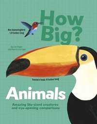How Big? Animals: Amazing Life-Sized Creatures and Eye-Opening ...