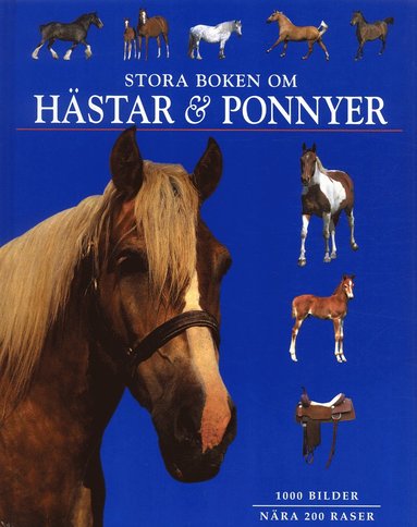 Stora boken om hästar och ponnyer - Tamsin Pickeral - Bok (9781405433587) | Bokus