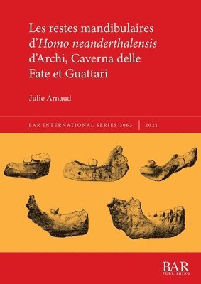 restes mandibulaires d'Homo neanderthalensis d'Archi, Caverna delle ...