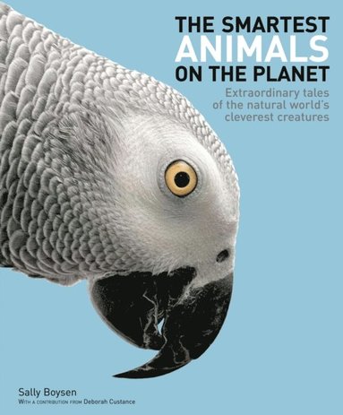 The Smartest Animals on the Planet - Ebok - Sally Boysen (9781408154793 ...