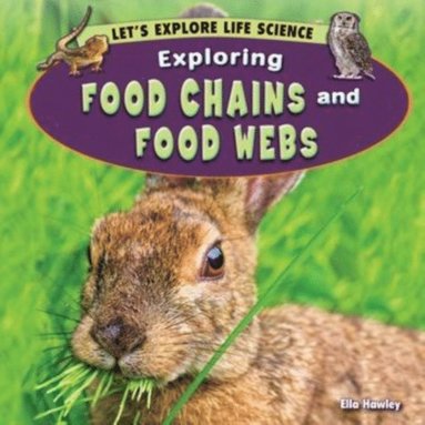 Exploring Food Chains and Food Webs - Ebok - Ella Hawley (9781448865178 ...