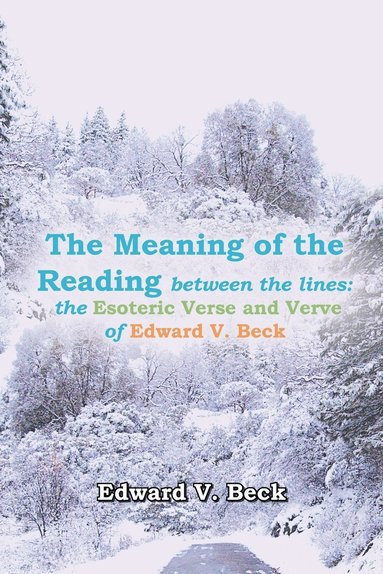 Meaning of the Reading Between the Lines - Edward V Beck - Häftad ...