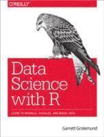 R for Data Science - Garrett Wickham, Garrett Grolemund - Häftad ...
