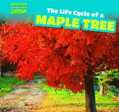 Life Cycle of a Maple Tree - Ebok - Gale George (9781499406818) | Bokus
