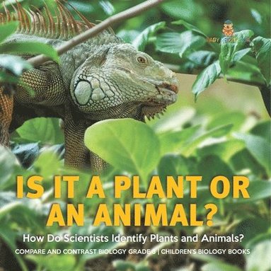 Is It a Plant or an Animal? How Do Scientists Identify Plants and ...