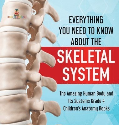 Everything You Need to Know About the Skeletal System The Amazing Human ...
