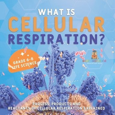 What is Cellular Respiration? Process, Products and Reactants of ...