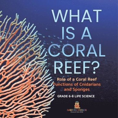 What is a Coral Reef? Role of a Coral Reef Functions of Cnidarians and ...