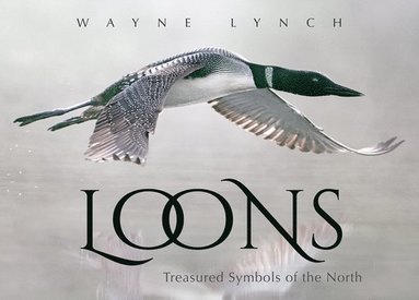 Loons: Treasured Symbols of the North - Wayne Lynch - Häftad (9781554555734) | Bokus