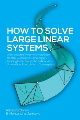 How to Solve Large Linear Systems - Aleksa Srdanov, Aleksandra Jankovic ...