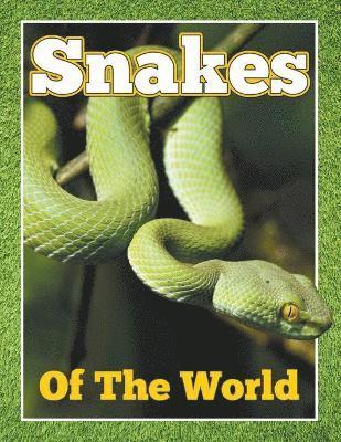 Snakes of the World - Speedy Publishing Llc, Speedy Publishing Llc ...