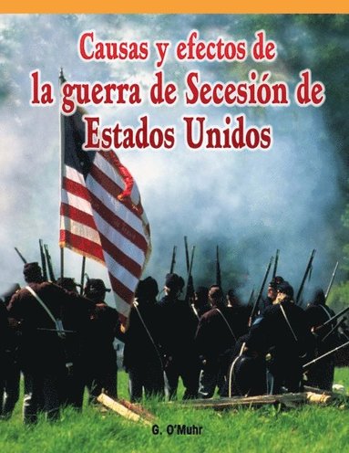 Causas y efectos de la guerra de SecesiÃ³n de Estados Unidos (Causes ...