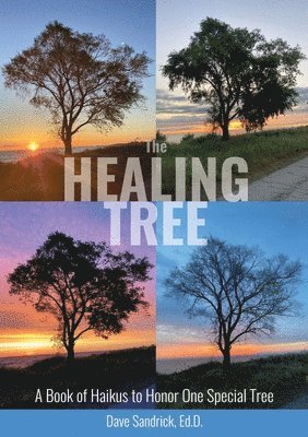 Healing Tree - Dave Sandrick - Häftad (9781737606369) | Bokus