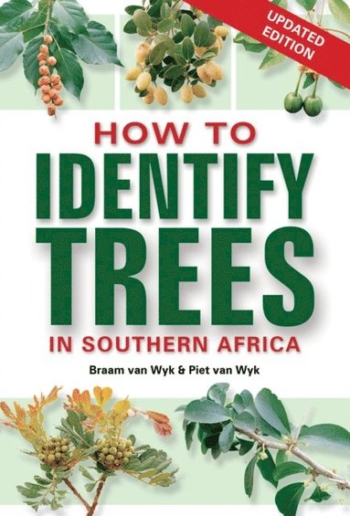 How to Identify Trees in Southern Africa - Ebok - Braam Van Wyk, Piet ...