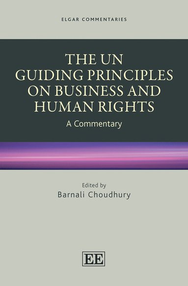 UN Guiding Principles on Business and Human Rights - Barnali Choudhury ...