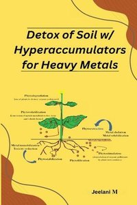 Detox of Soil w Hyperaccumulators for Heavy Metals - Jeelan M - Häftad ...