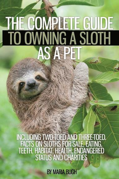 Complete Guide to Owning a Sloth as a Pet including Two-Toed and Three ...