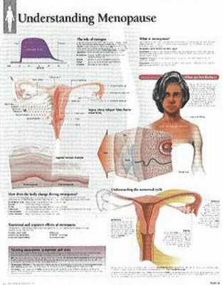 Understanding Menopause Laminated Poster - Scientific Publishing - Poster (9781930633612) | Bokus